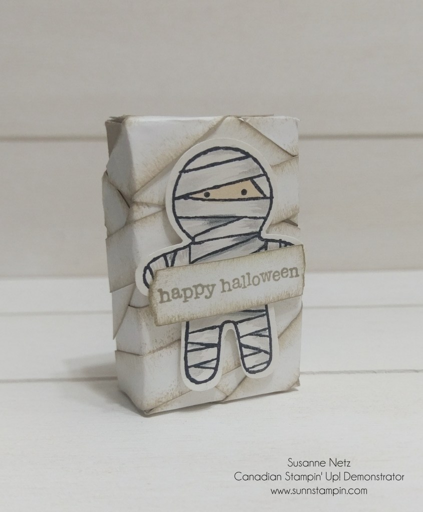 Fabricate Friday – Mummy Box | SuNN Stampin'